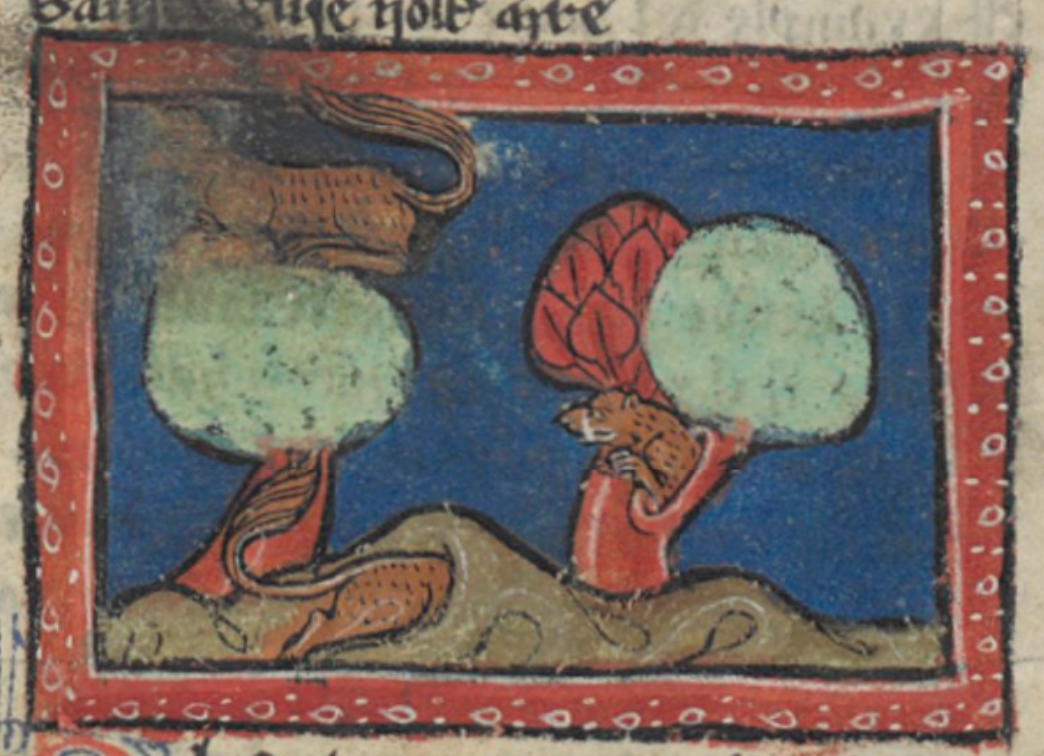 Medieval Bestiary : Beasts : Muscaliet