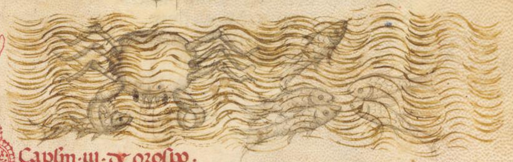 Medieval Bestiary : Beasts : Crab