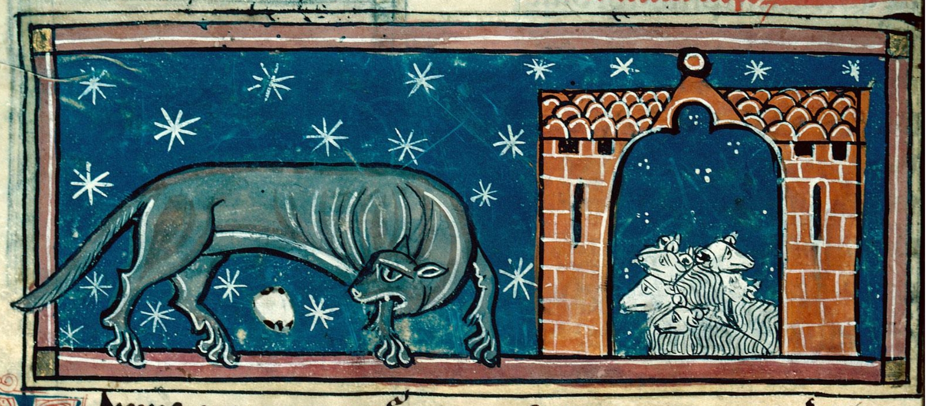 Wolves Species in Hârn: Isle of Mysts, Magick & Mystery | World Anvil