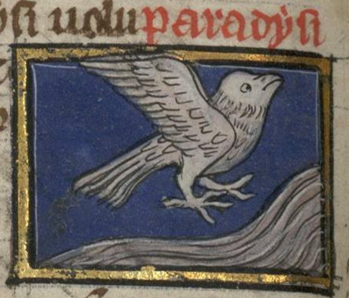 Medieval Bestiary : Beasts : Paradisi