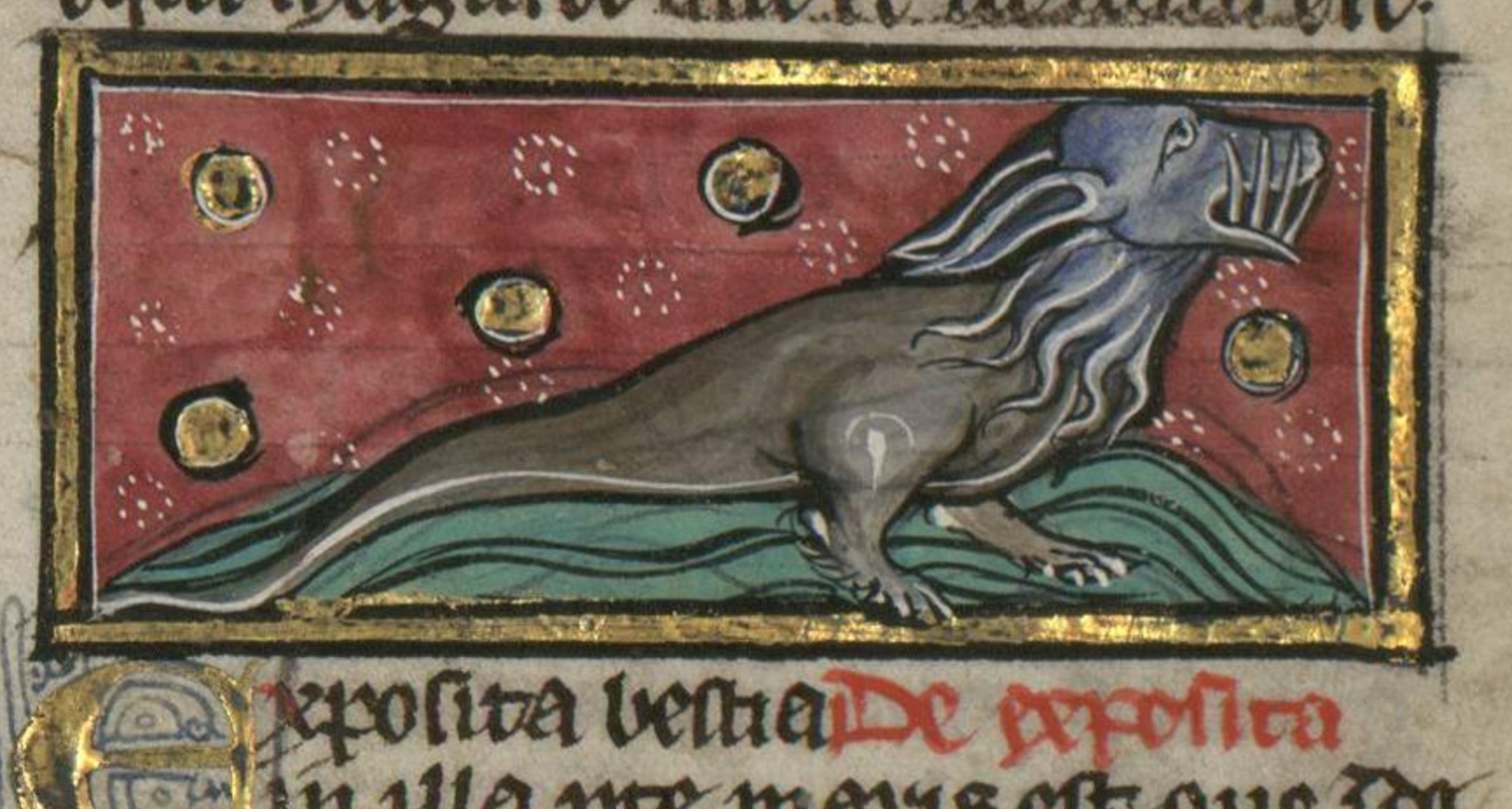Medieval Bestiary : Beasts : Exposita