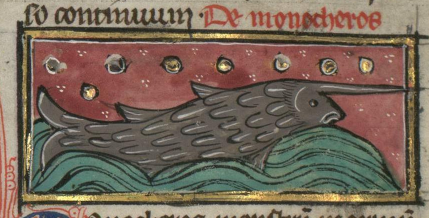 Medieval Bestiary : Beasts : Narwhal