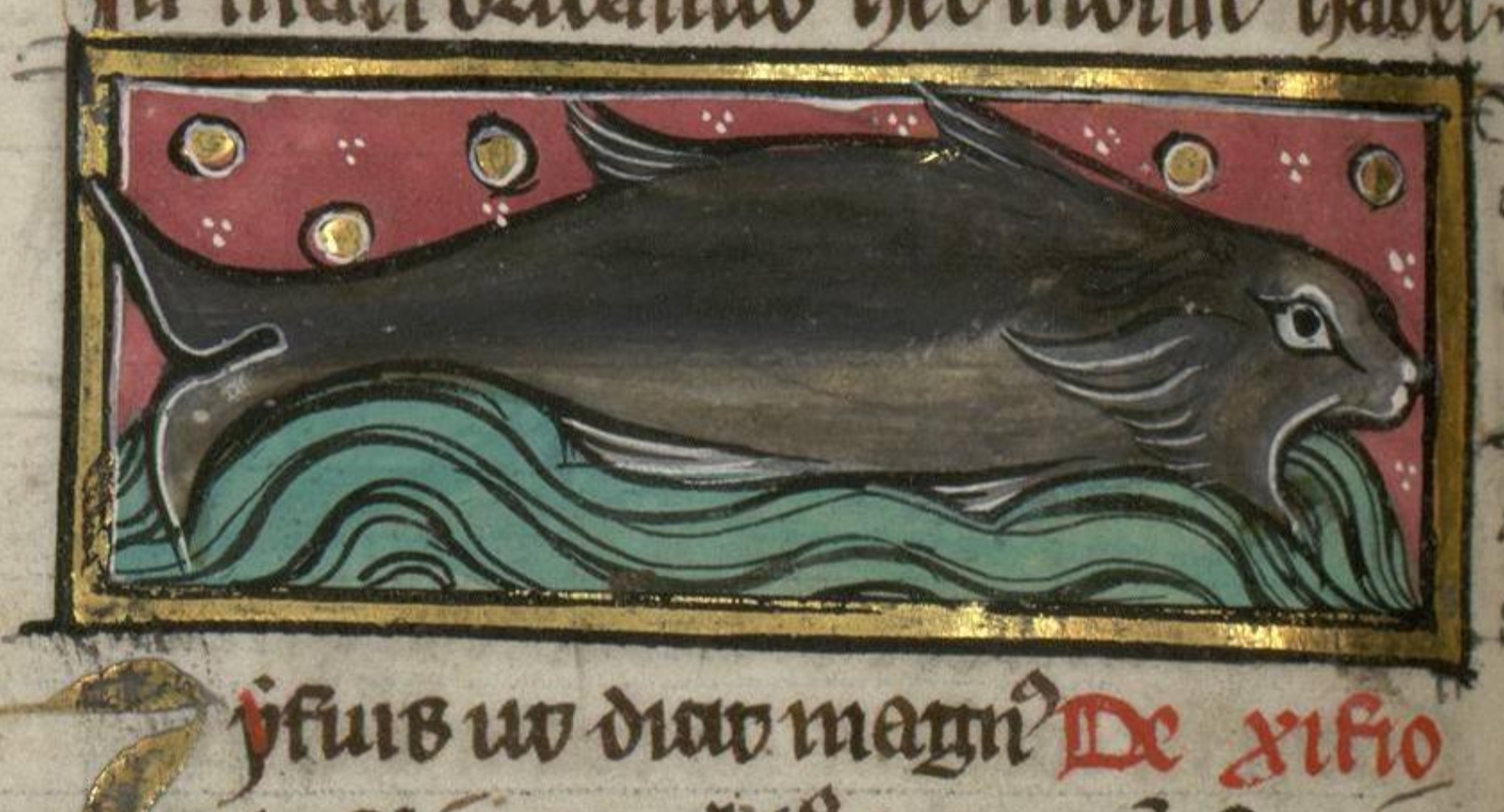 Medieval Bestiary : Beasts : Zifius