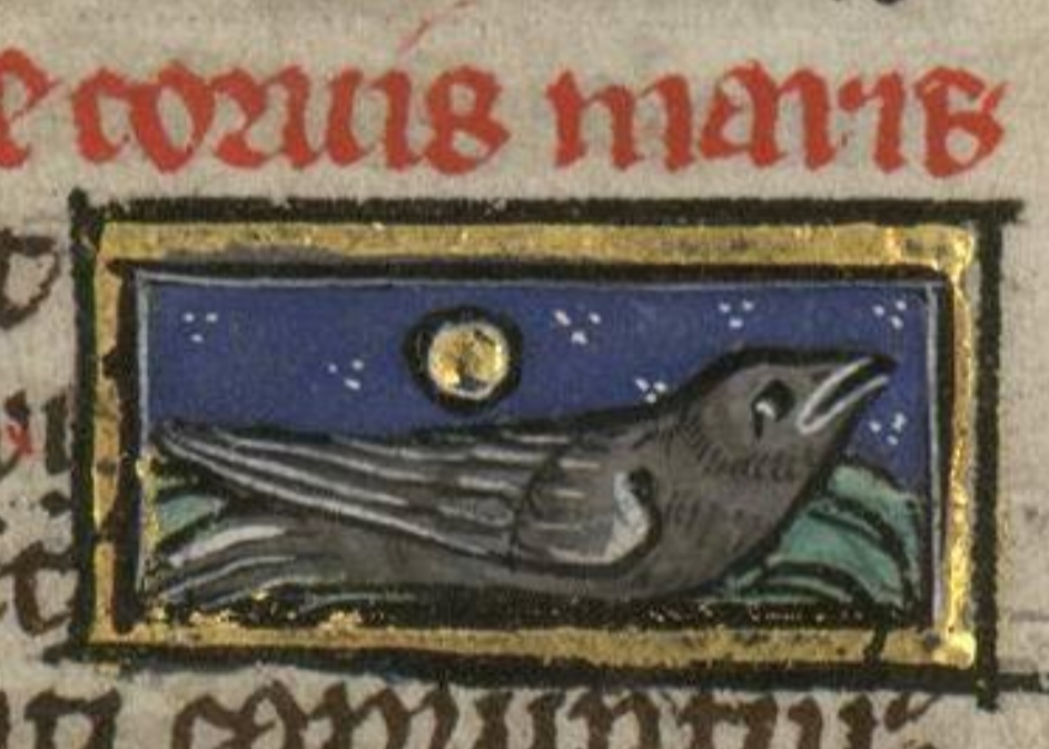 Medieval Bestiary : Beasts : Sea-raven