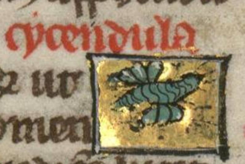 Medieval Bestiary : Beasts : Glow-worm