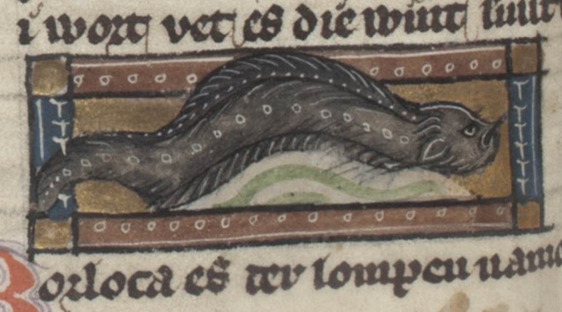 Medieval Bestiary : Beasts : Borbothis