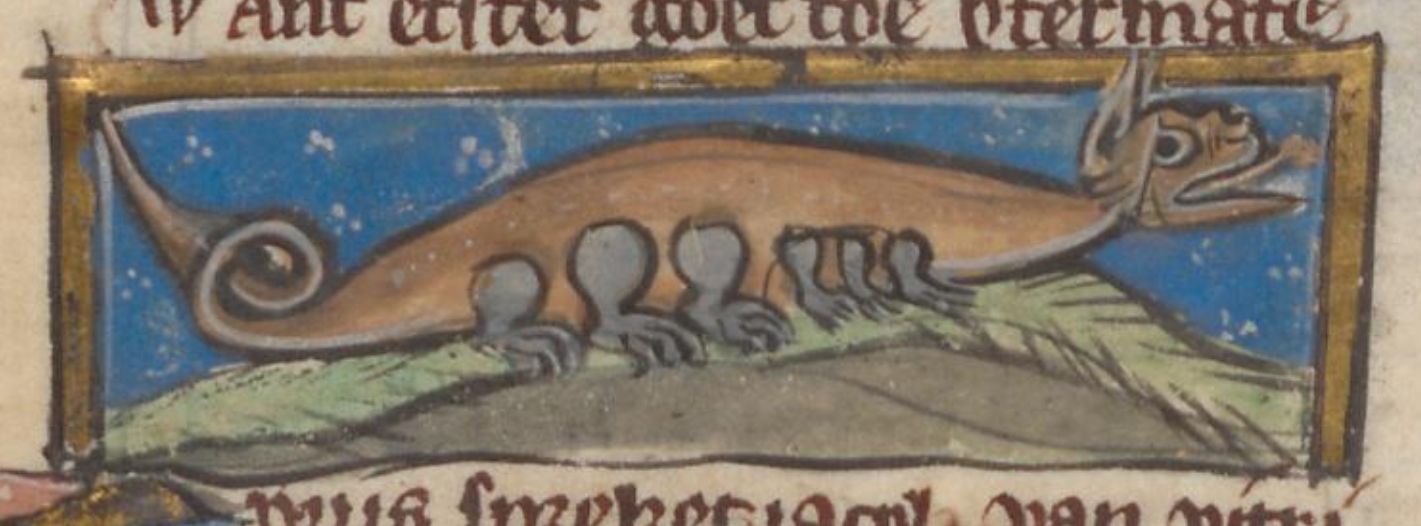 Medieval Bestiary : Beasts : Tysus